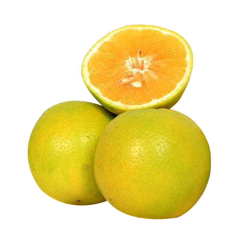 Buy hsm mosambi (orange) 12s at best price in Pakistan | Hydri Super Market