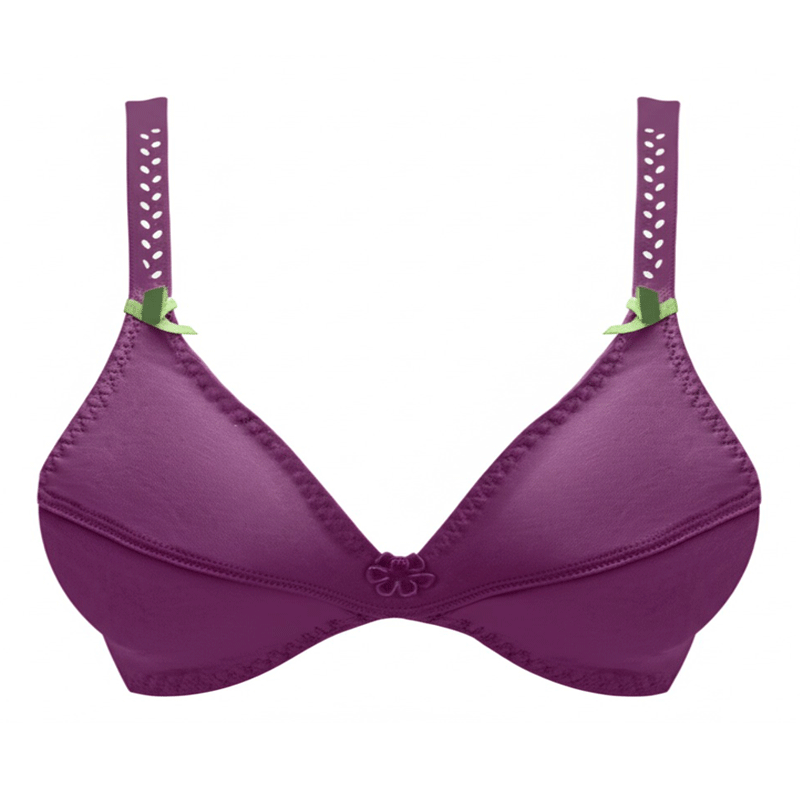 Buy be belle bra klassilk at best price in Pakistan | Hydri Super Market