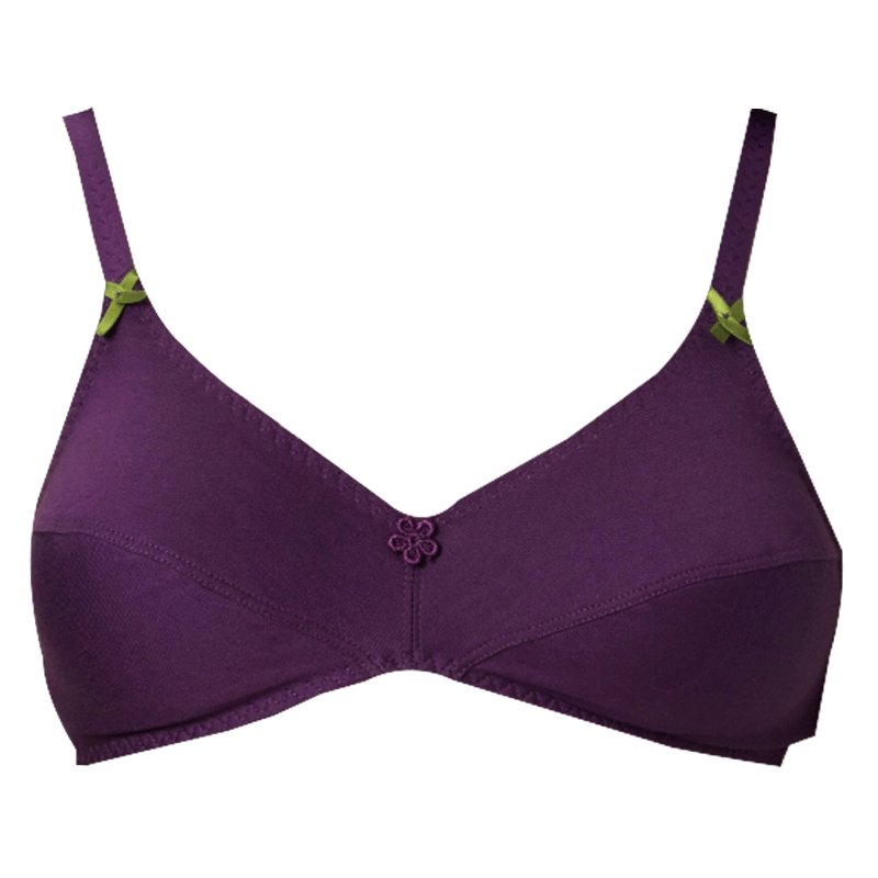 Buy be belle bra klassilk at best price in Pakistan | Hydri Super Market