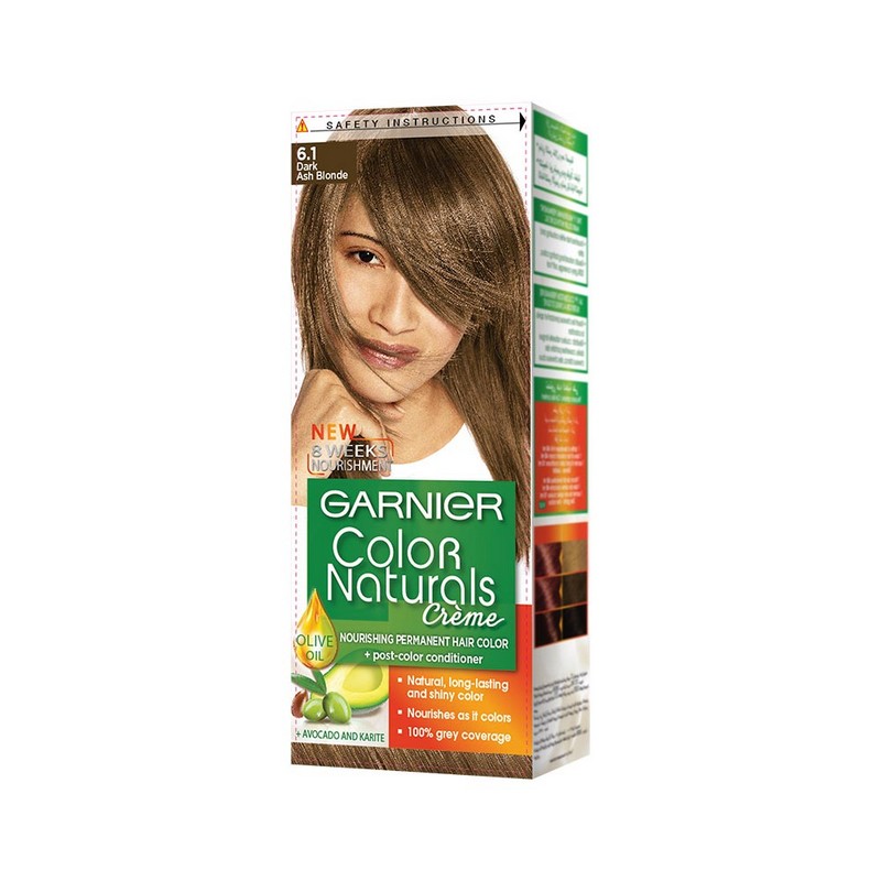 GARNIER HAIR COLOR NO 6.1