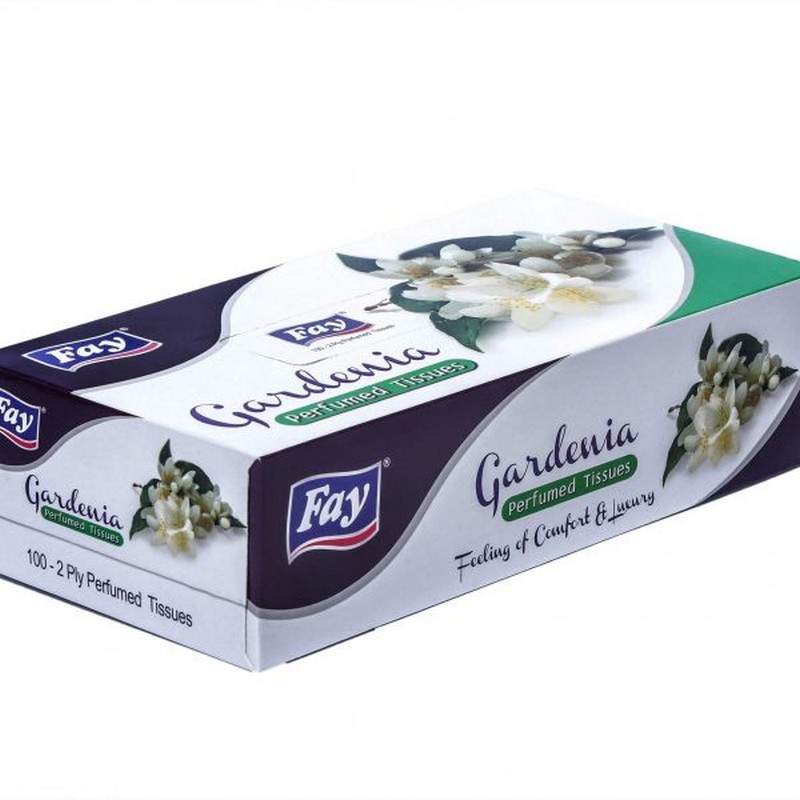 FAY TISSUE BOX GARDENIA 100X2 PLY