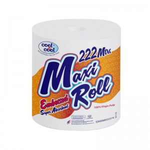 FAY TOILET TISSUES ECONOMY PACK 1X10 ROLLS