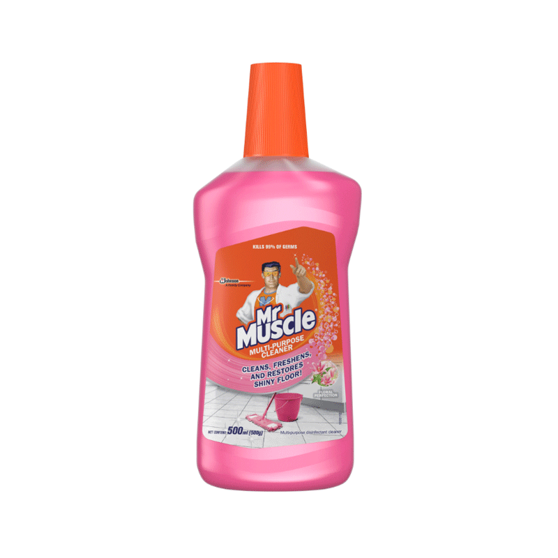 MR MUSCLE